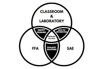 Reconceptualizing Problem-Solving: Applications for the Delivery of ...